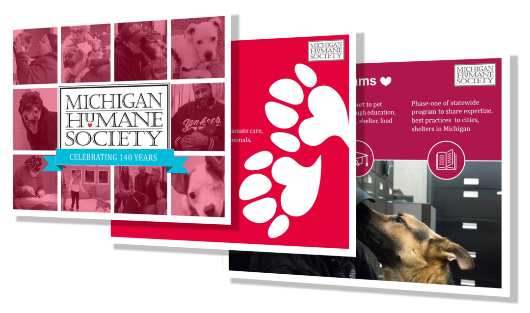 Contact - Pulse Design Studio